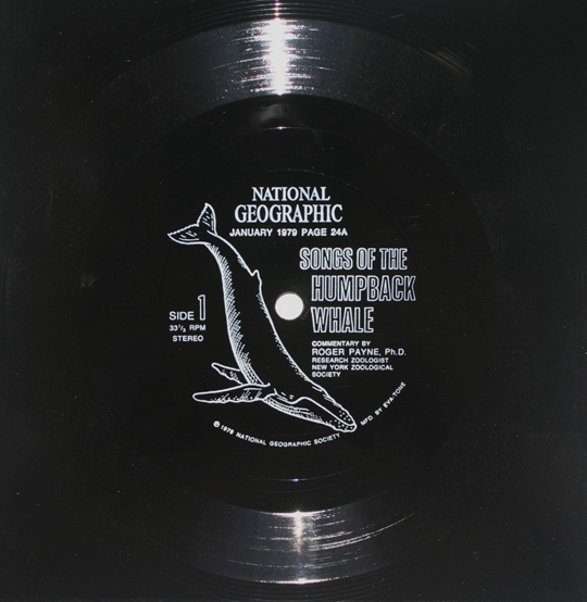 Best Whale Song EPs of 1979 - Rate Your Music