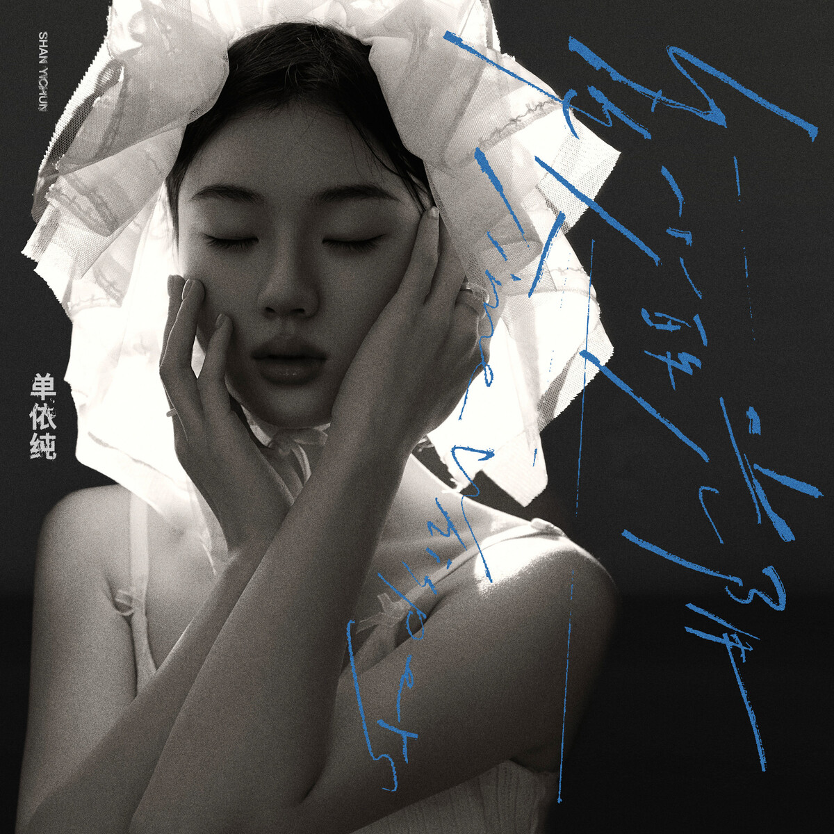 多少的光阴 by 单依纯 [Shan Yichun] (Single, Adult Contemporary): Reviews, Ratings, Credits, Song list ...