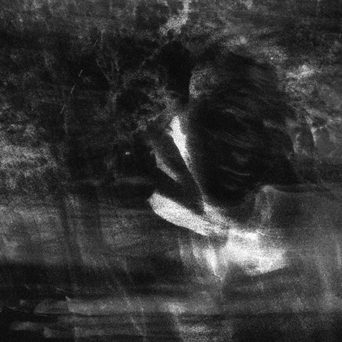 Risk by Paluma (Single, Outsider House): Reviews, Ratings, Credits ...