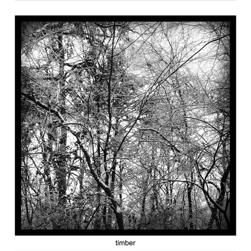 Timber by Timber (EP): Reviews, Ratings, Credits, Song list - Rate Your ...