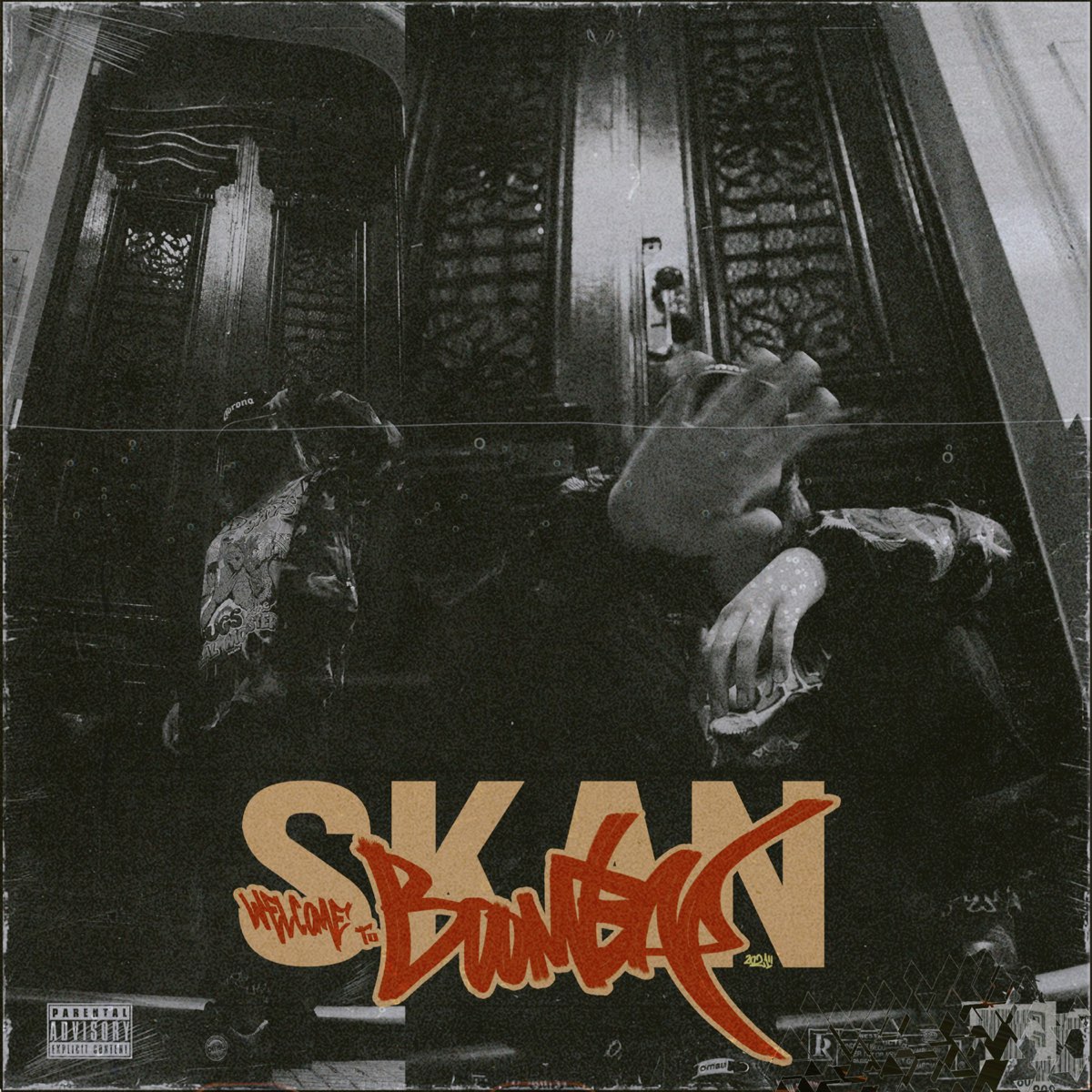 Skan Albums: songs, discography, biography, and listening guide - Rate ...