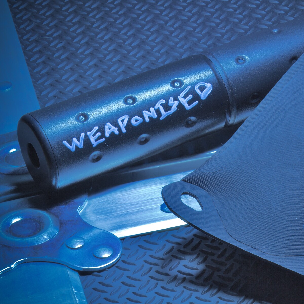 Weaponised by Ripley Sterling (Single): Reviews, Ratings, Credits, Song ...