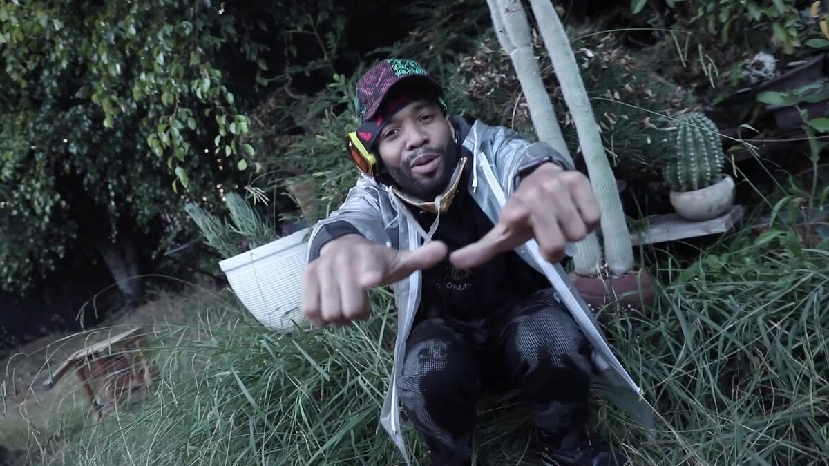 Flexicana Army by Marcy Mane (Music video): Reviews, Ratings, Credits ...