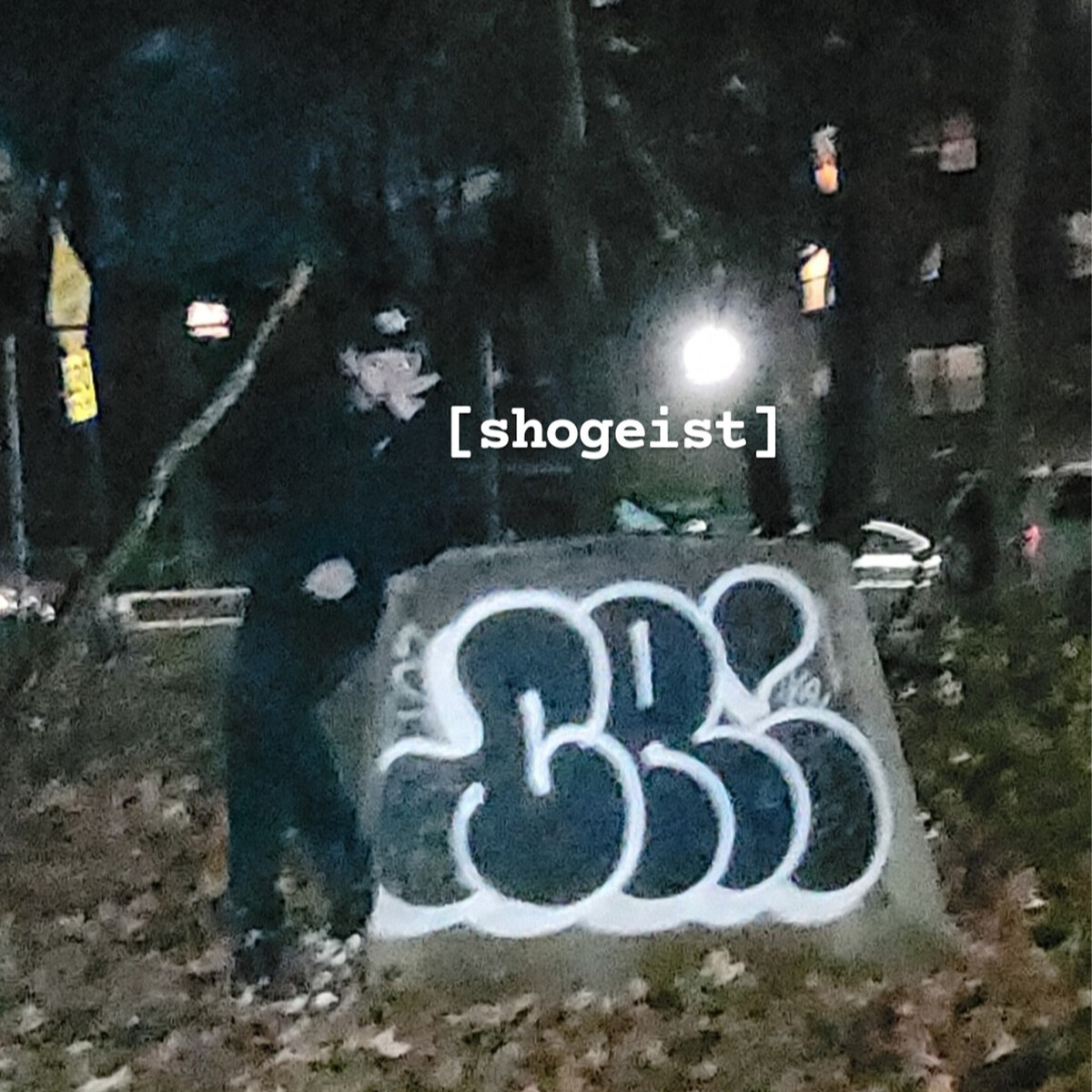 ADULT SWIM by Shogeist (Single, Experimental Hip Hop): Reviews, Ratings, Credits, Song list ...