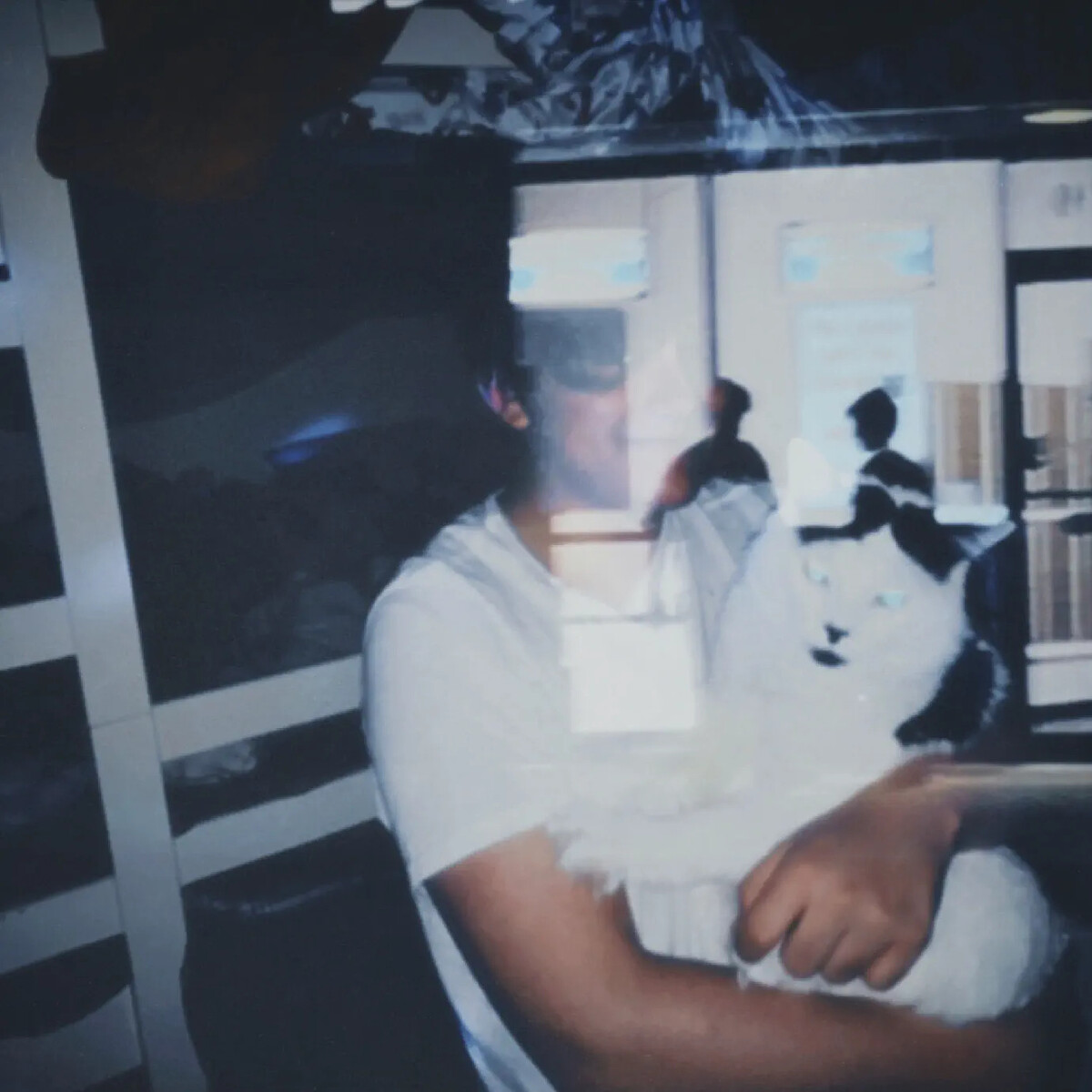 i killed a pixie. Albums: songs, discography, biography, and listening ...