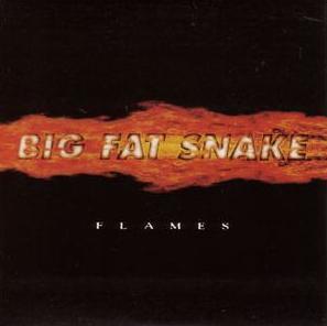Big Fat Snake Albums: songs, discography, biography, and listening ...