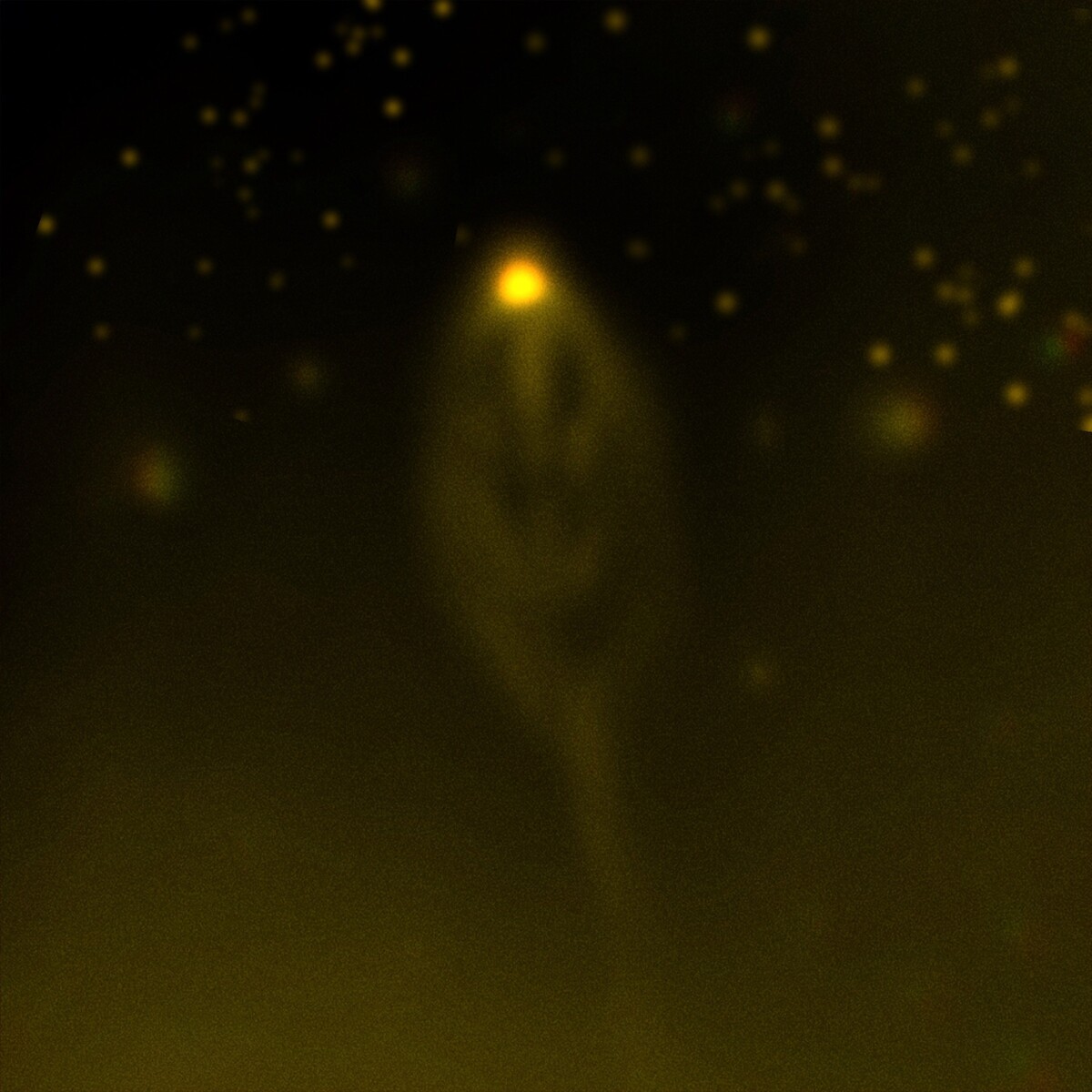 Roca Bruja Albums: songs, discography, biography, and listening guide ...