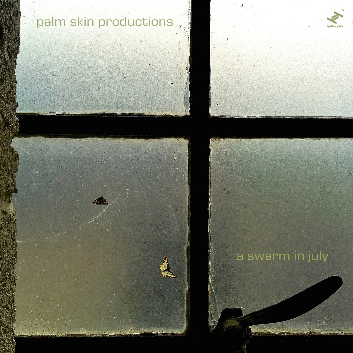 A Swarm in July by Palm Skin Productions (Album): Reviews, Ratings ...