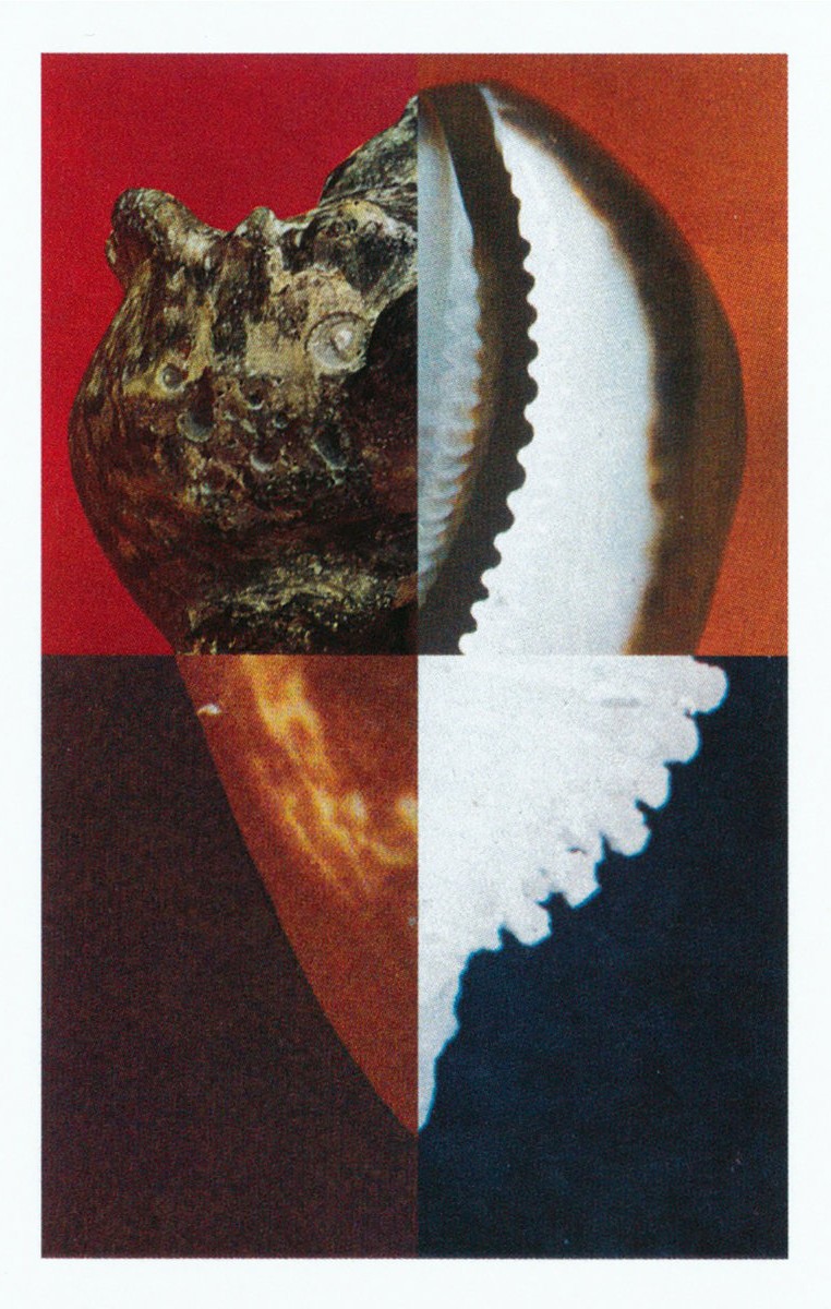 Elemental by Various Artists (EP): Reviews, Ratings, Credits, Song list ...