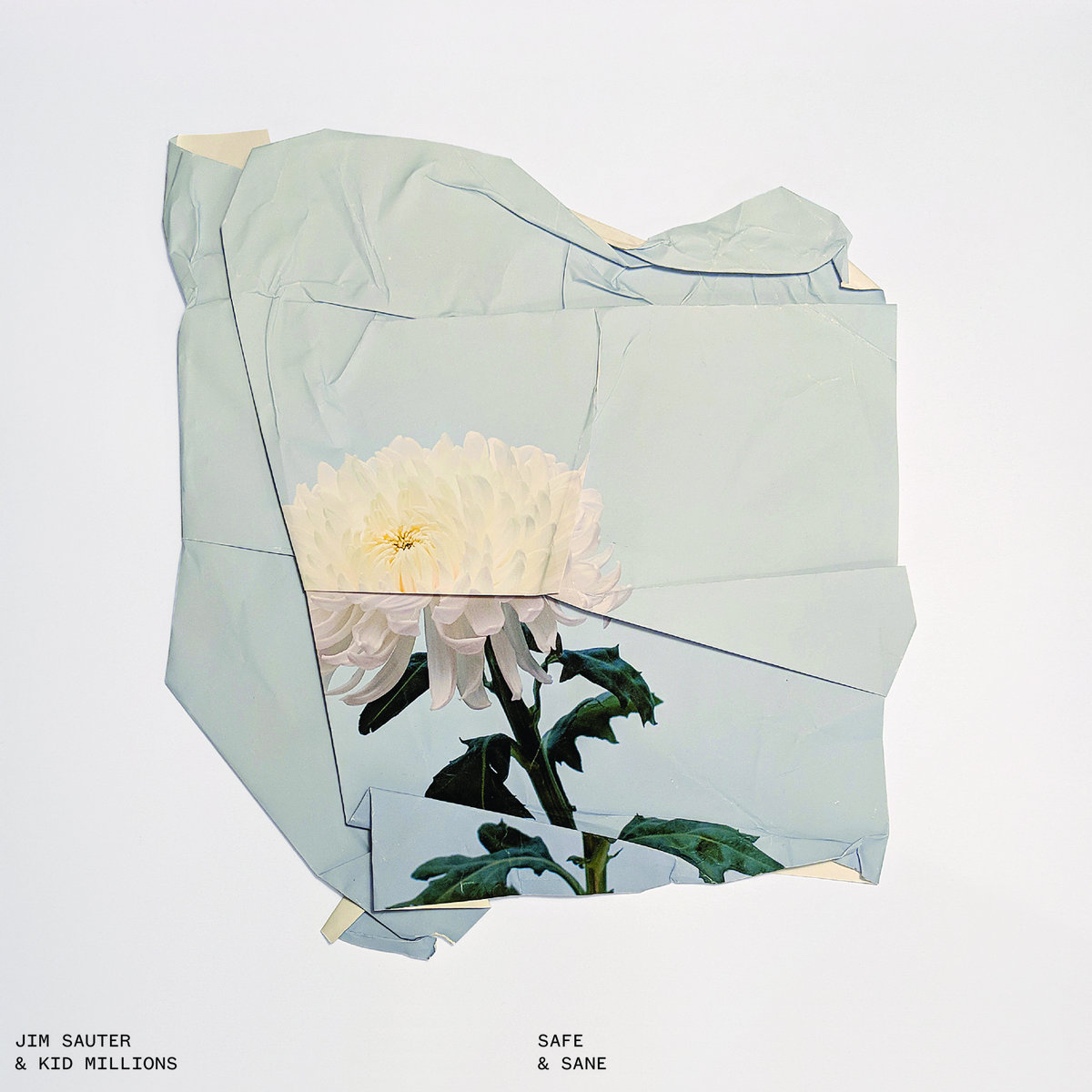 Jim Sauter Albums: songs, discography, biography, and listening guide ...