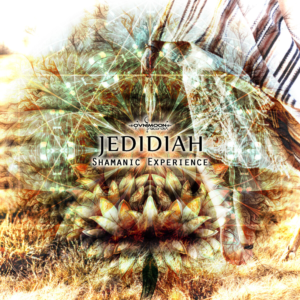 Shamanic Experience by Jedidiah (Album): Reviews, Ratings, Credits, Song list - Rate Your Music