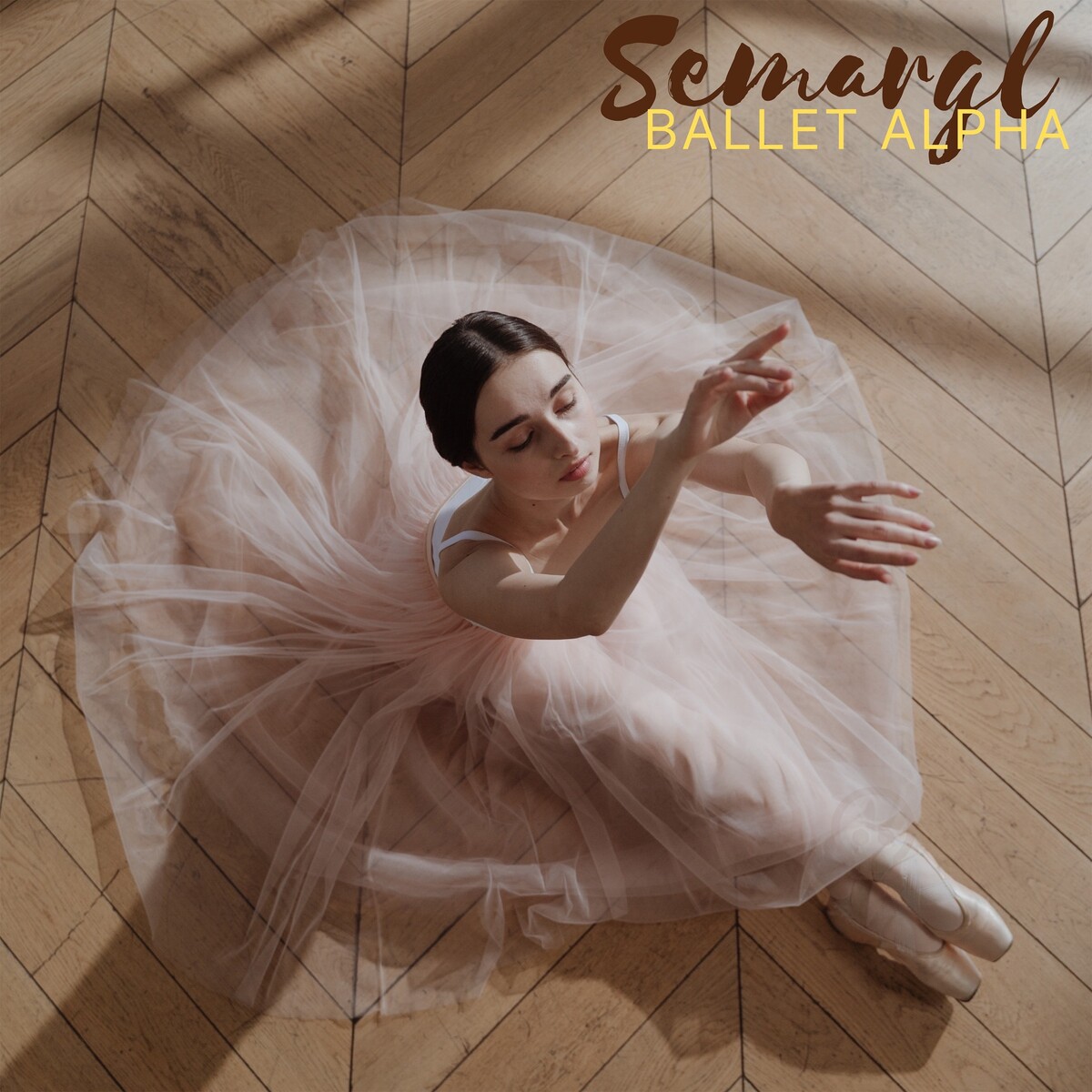 Ballet Alpha by Semargl (Single, Bass House): Reviews, Ratings, Credits ...
