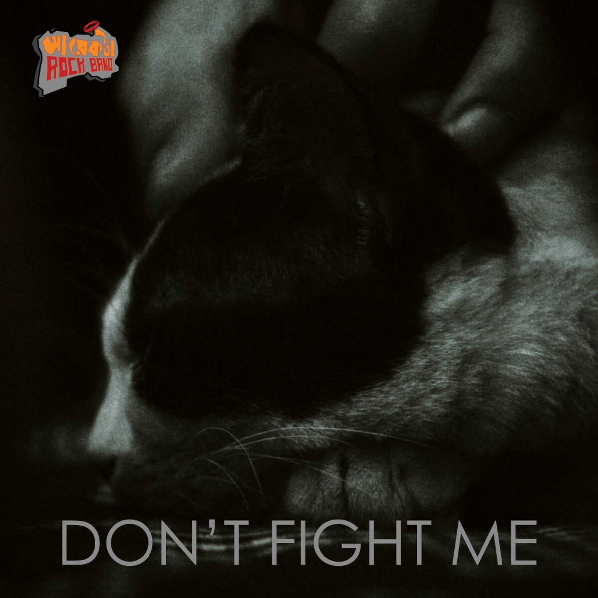 Don't Fight Me by Arekta Rock Band (Single): Reviews, Ratings, Credits ...