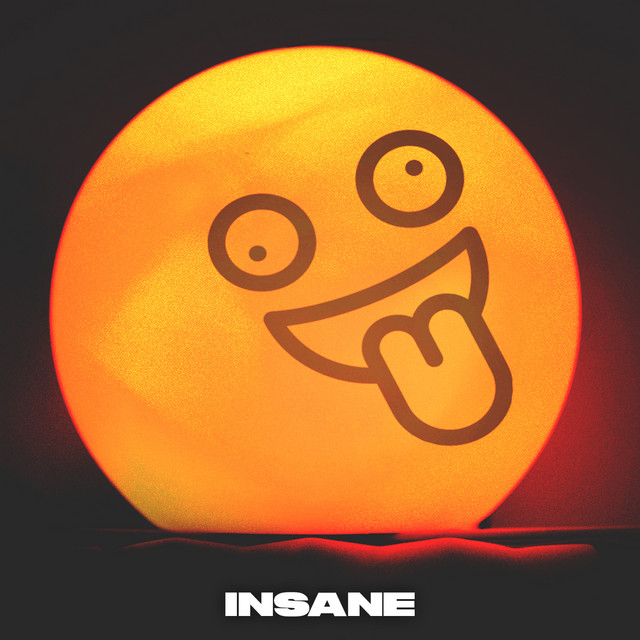 Insane by Kid Travis (Single): Reviews, Ratings, Credits, Song list ...