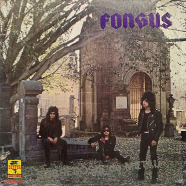 Fongus Albums: songs, discography, biography, and listening guide ...