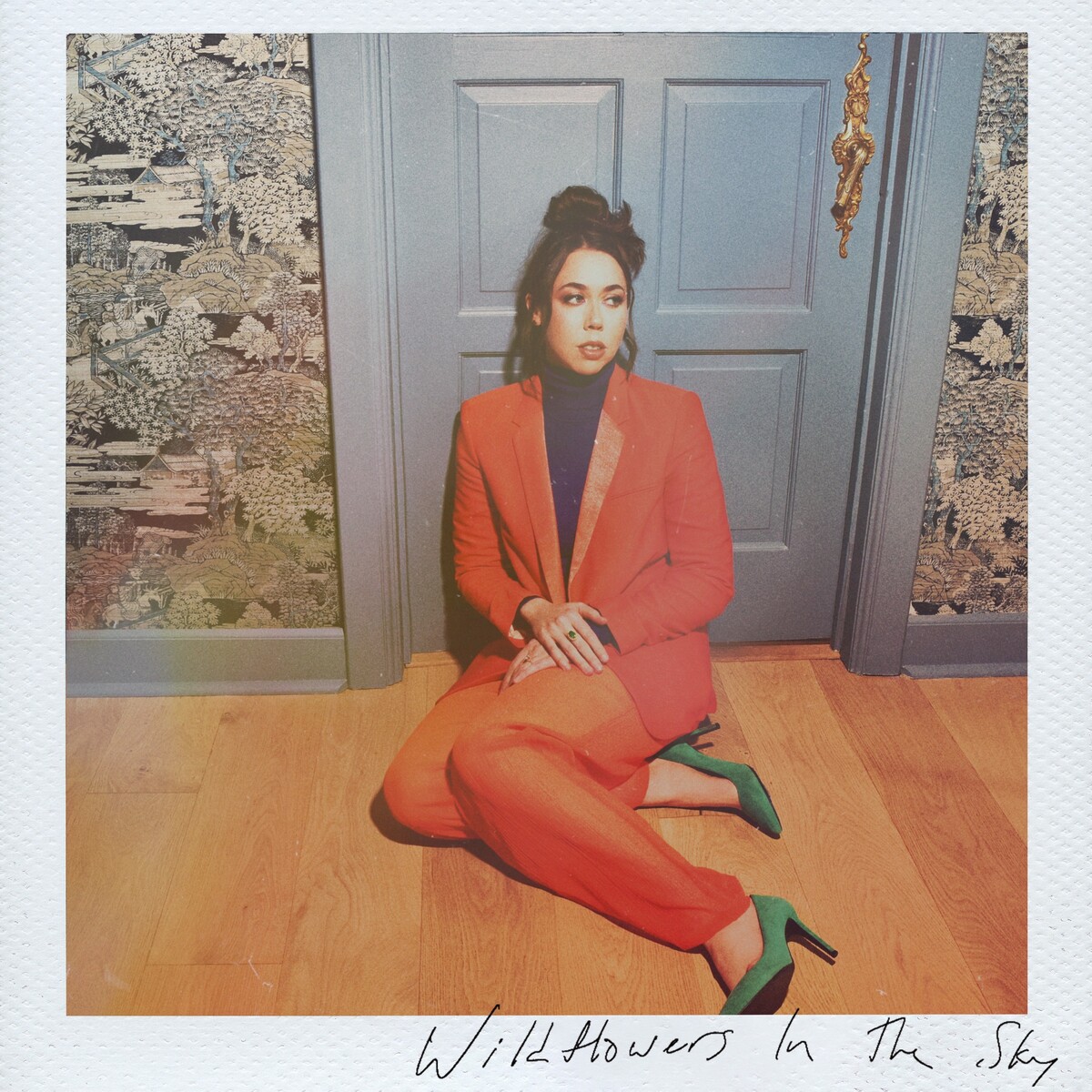 Wildflowers in the Sky by Sarah Jarosz (Single): Reviews, Ratings ...