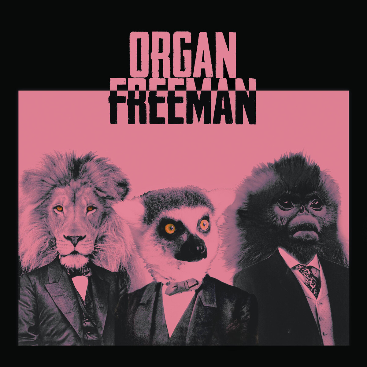 Organ Freeman Albums: songs, discography, biography, and listening ...