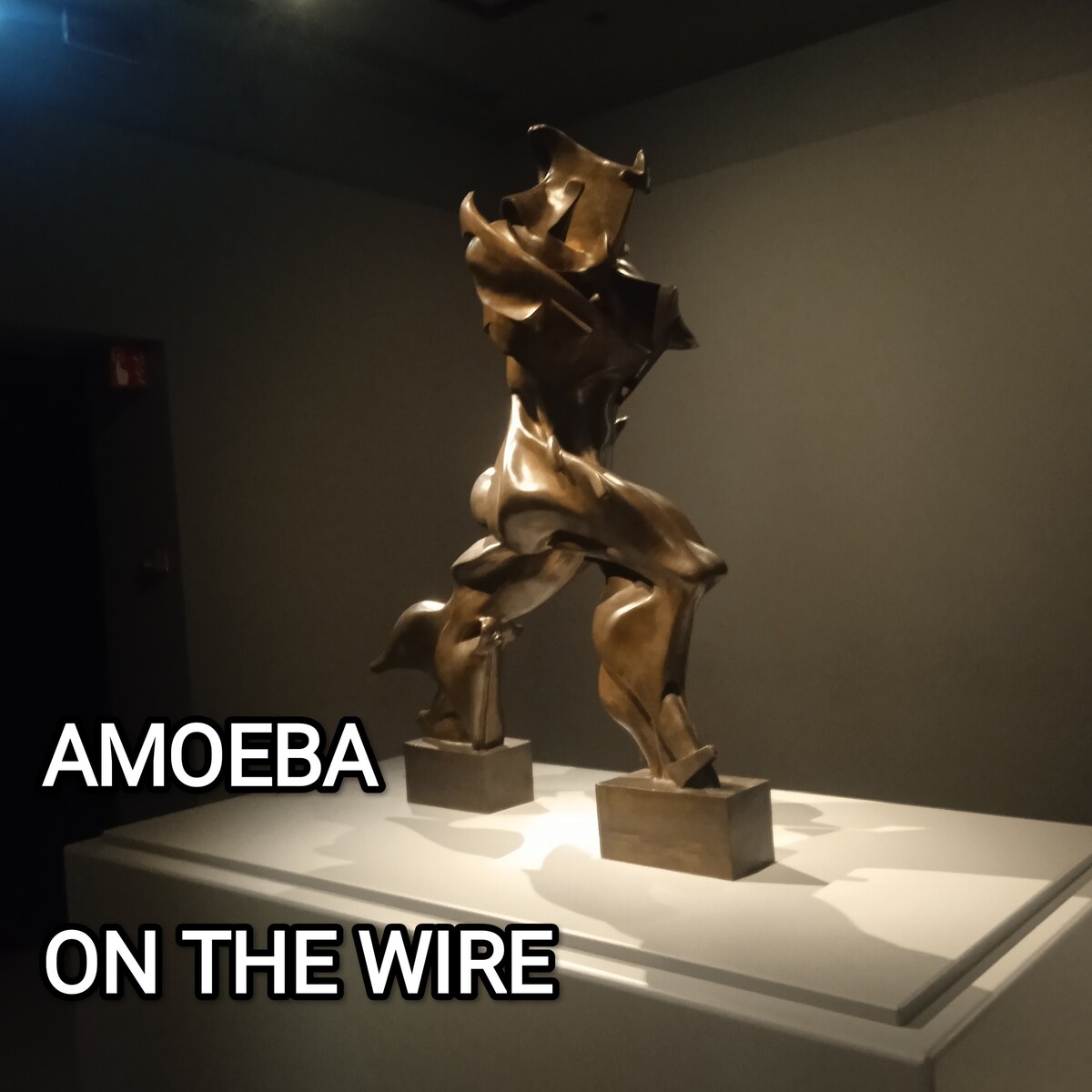 On the Wire by Amoeba (Single): Reviews, Ratings, Credits, Song list ...