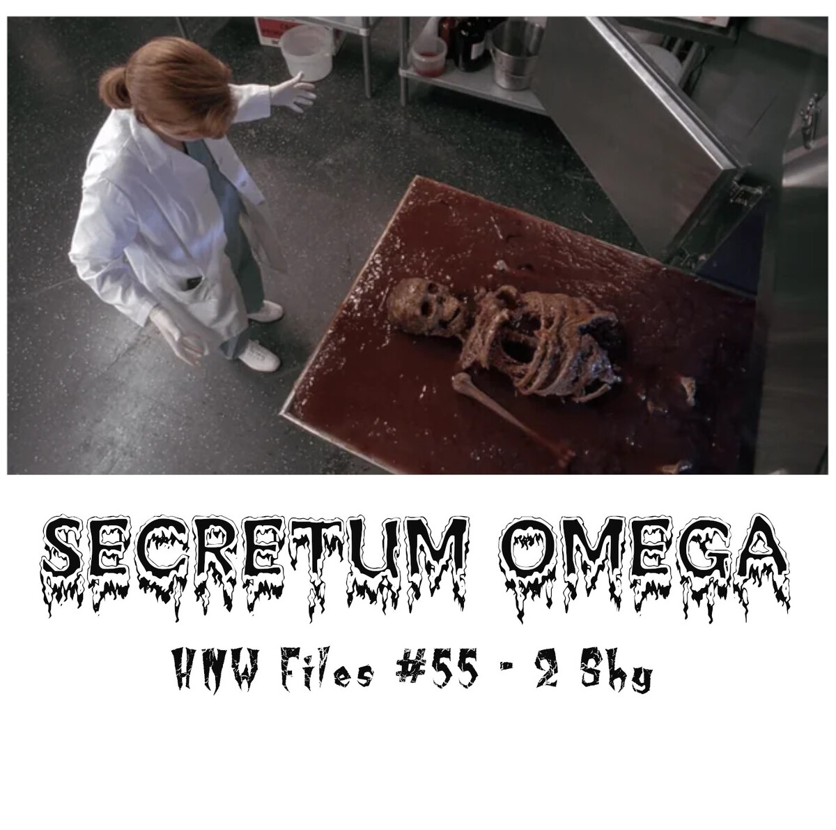 HNW Files #55 - 2 Shy by Secretum Omega (Album): Reviews, Ratings ...