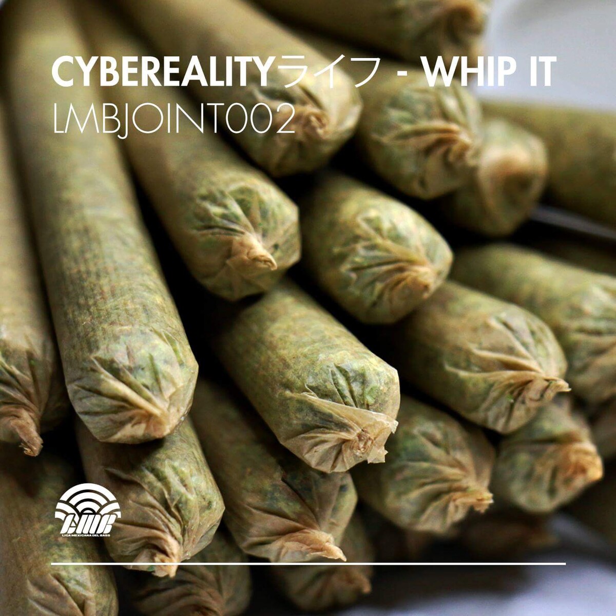 Whip It by CYBEREALITYライフ (Single): Reviews, Ratings, Credits, Song ...