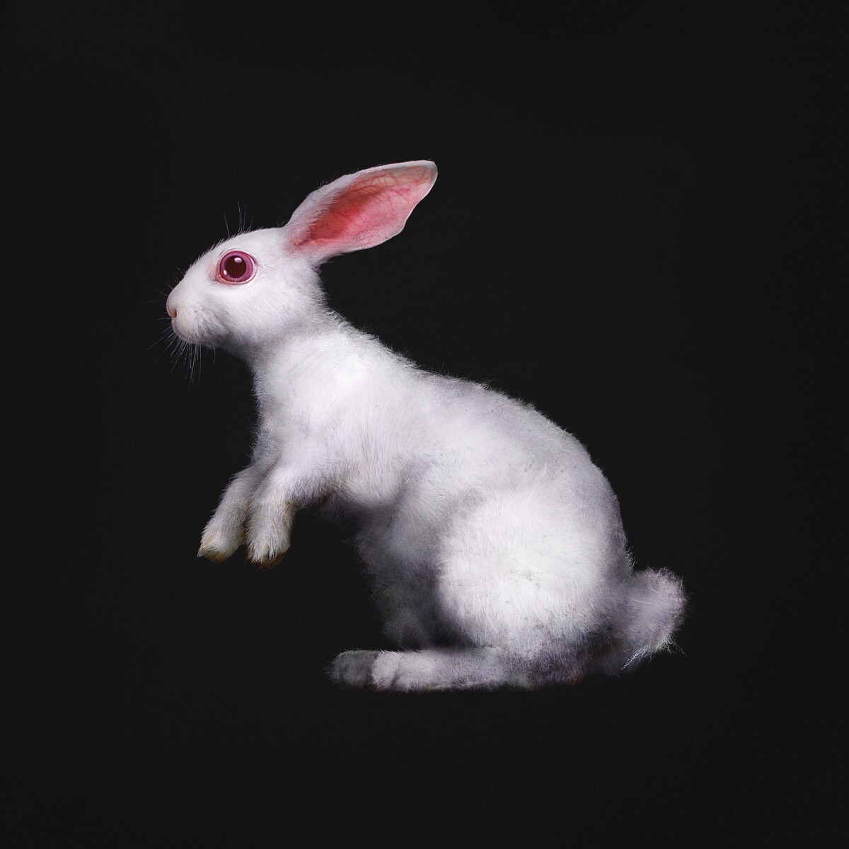 Port Rd by Holy Holy (Single): Reviews, Ratings, Credits, Song list ...