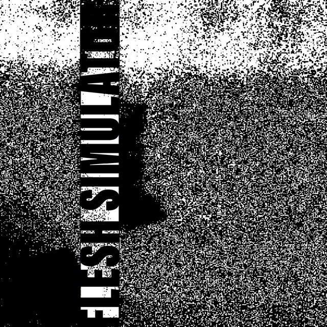 Nodeplacer by Flesh Simulator (Single): Reviews, Ratings, Credits, Song ...