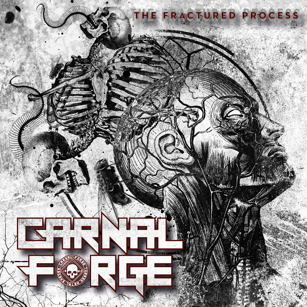 The Fractured Process by Carnal Forge (EP, Melodic Death Metal ...