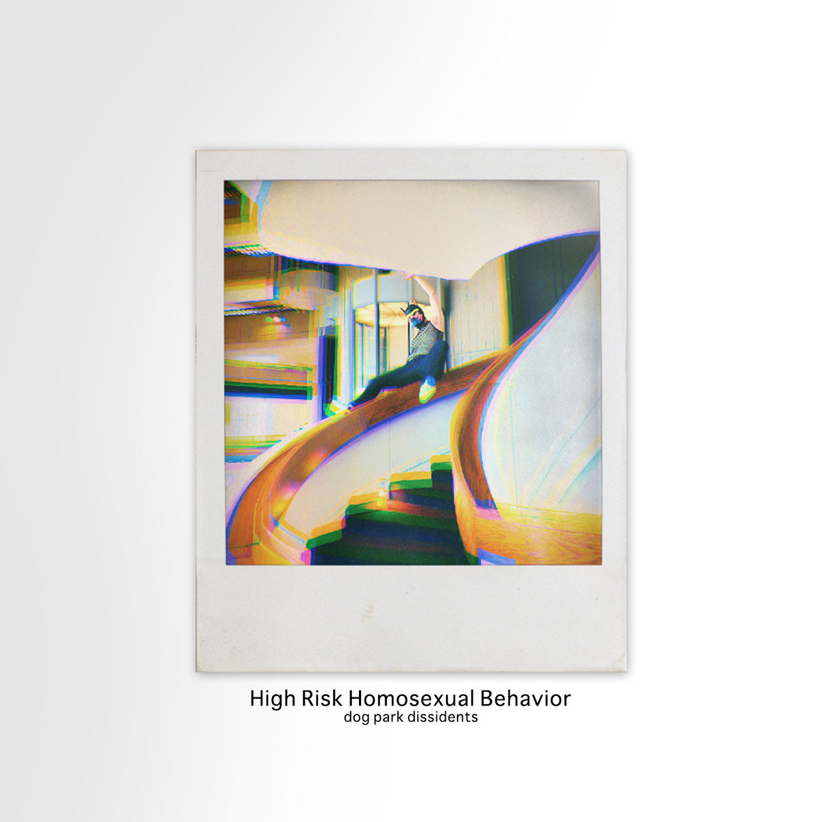 High Risk Homosexual Behavior by Dog Park Dissidents (EP, Queercore ...