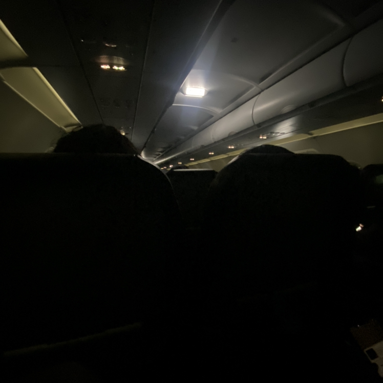 Toxic by heygwuapo! (Single, Trap): Reviews, Ratings, Credits, Song ...