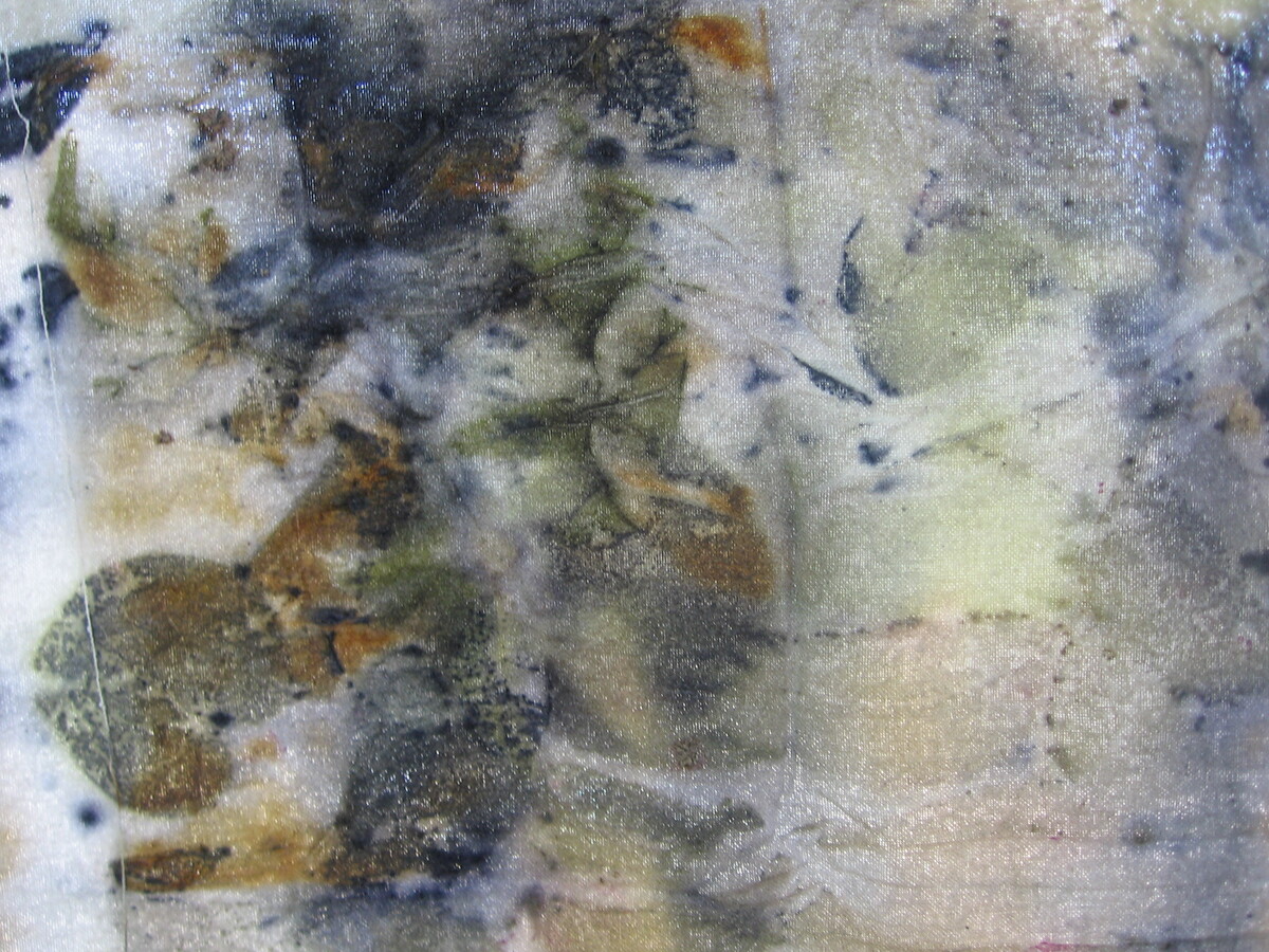 Qualia by Jeph Jerman (Album): Reviews, Ratings, Credits, Song list ...