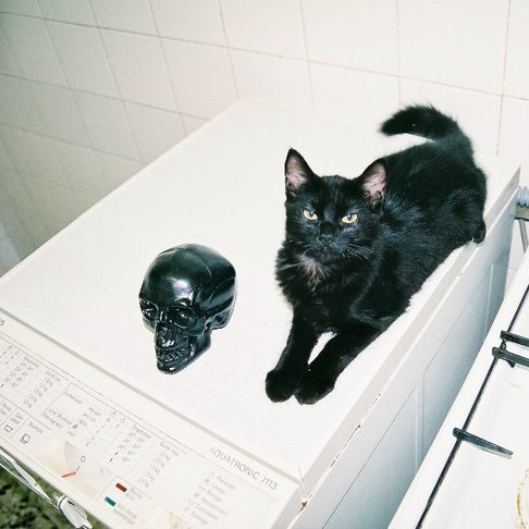 Labyrinth Ear Albums: songs, discography, biography, and listening ...