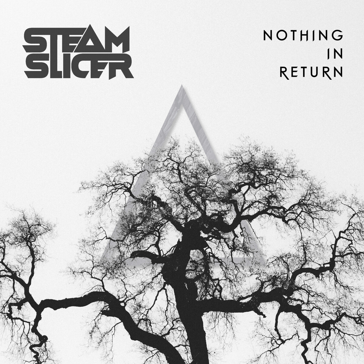 Nothing in Return by Steam Slicer (Single): Reviews, Ratings, Credits ...