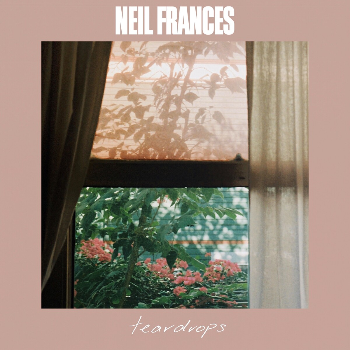 Teardrops by Neil Frances (Single): Reviews, Ratings, Credits, Song ...