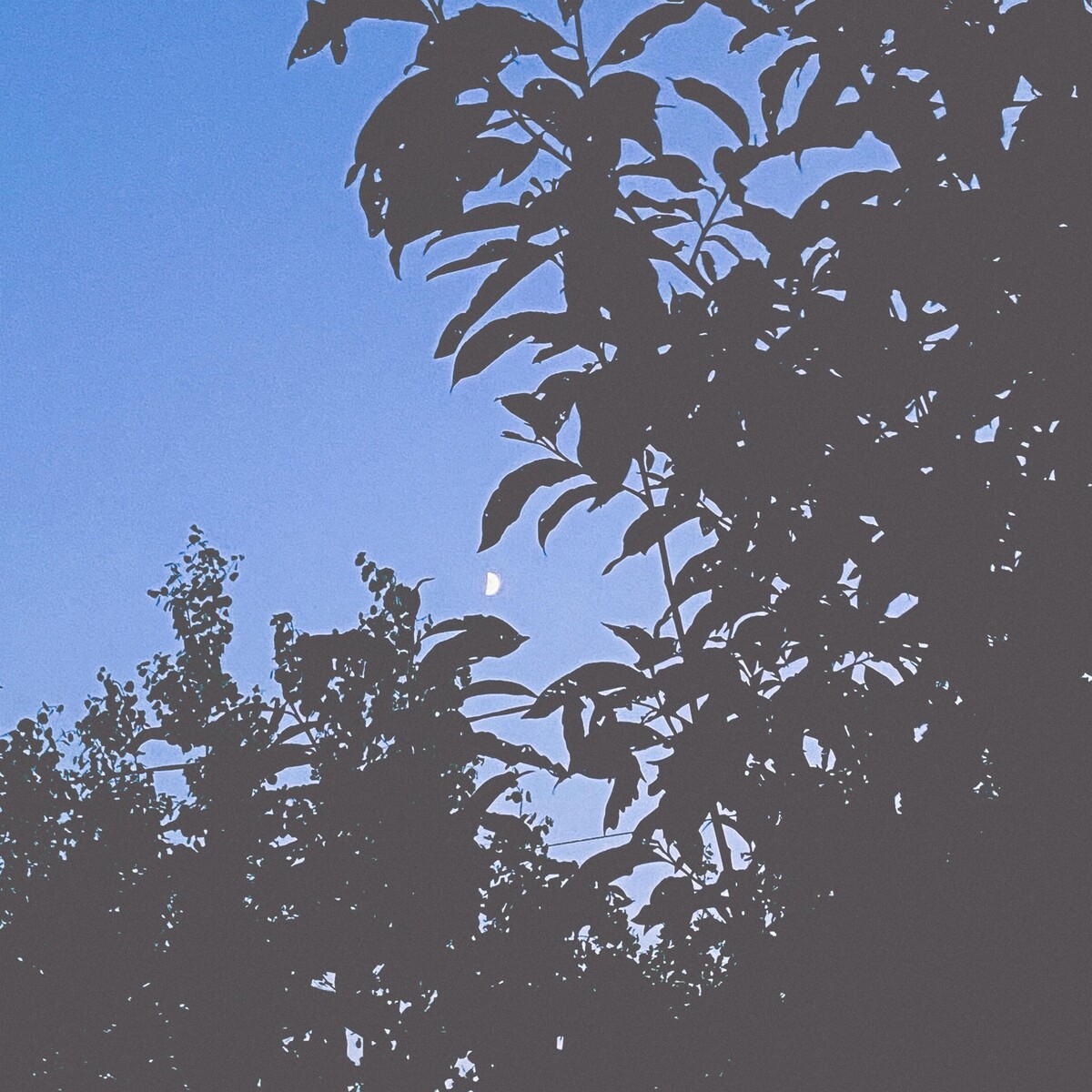 Flooded Summer by Lurp Sheets (EP; n/a; n/a): Reviews, Ratings, Credits ...