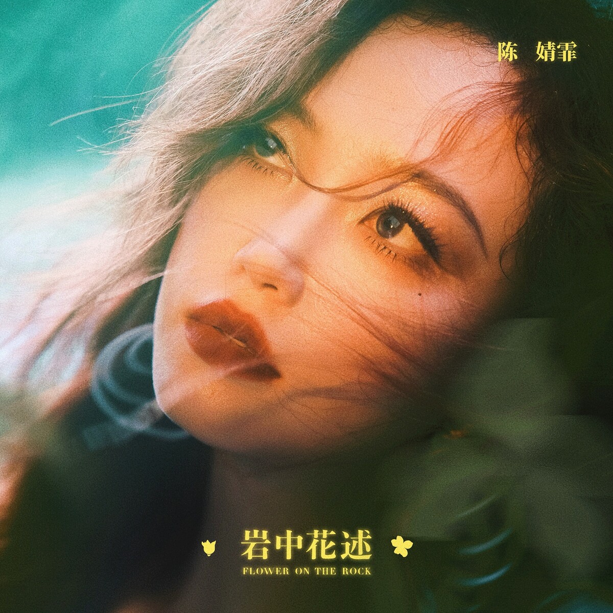 岩中花述 by 陈婧霏 [Chen Jingfei] (Single): Reviews, Ratings, Credits, Song list - Rate Your Music