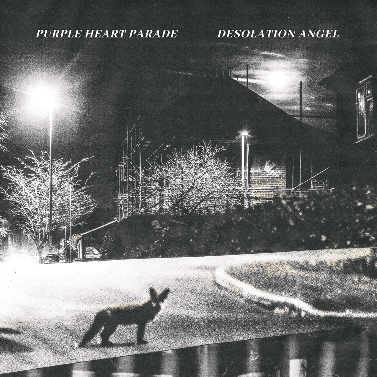 Purple Heart Parade Albums: songs, discography, biography, and ...