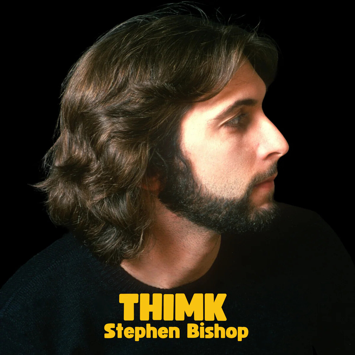 Thimk by Stephen Bishop (Album, Soft Rock): Reviews, Ratings, Credits ...