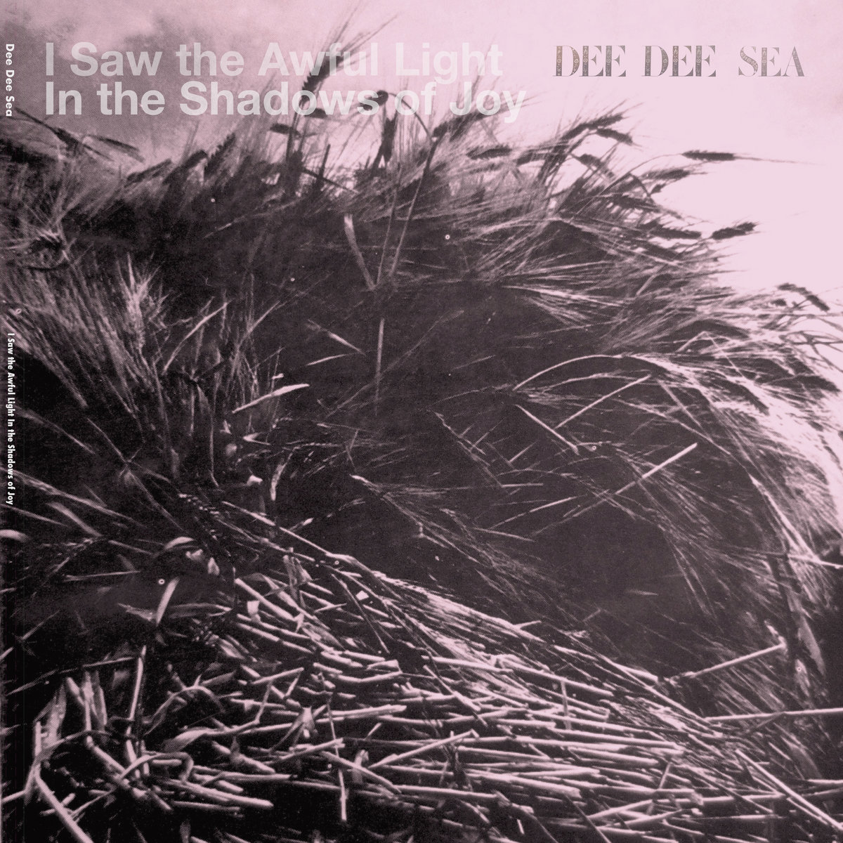 I Saw the Awful Light in the Shadows of Joy by Dee Dee Sea (Album ...