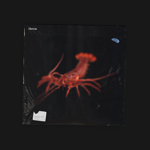 Marvin by schafter (Single, Pop Rap): Reviews, Ratings, Credits, Song ...