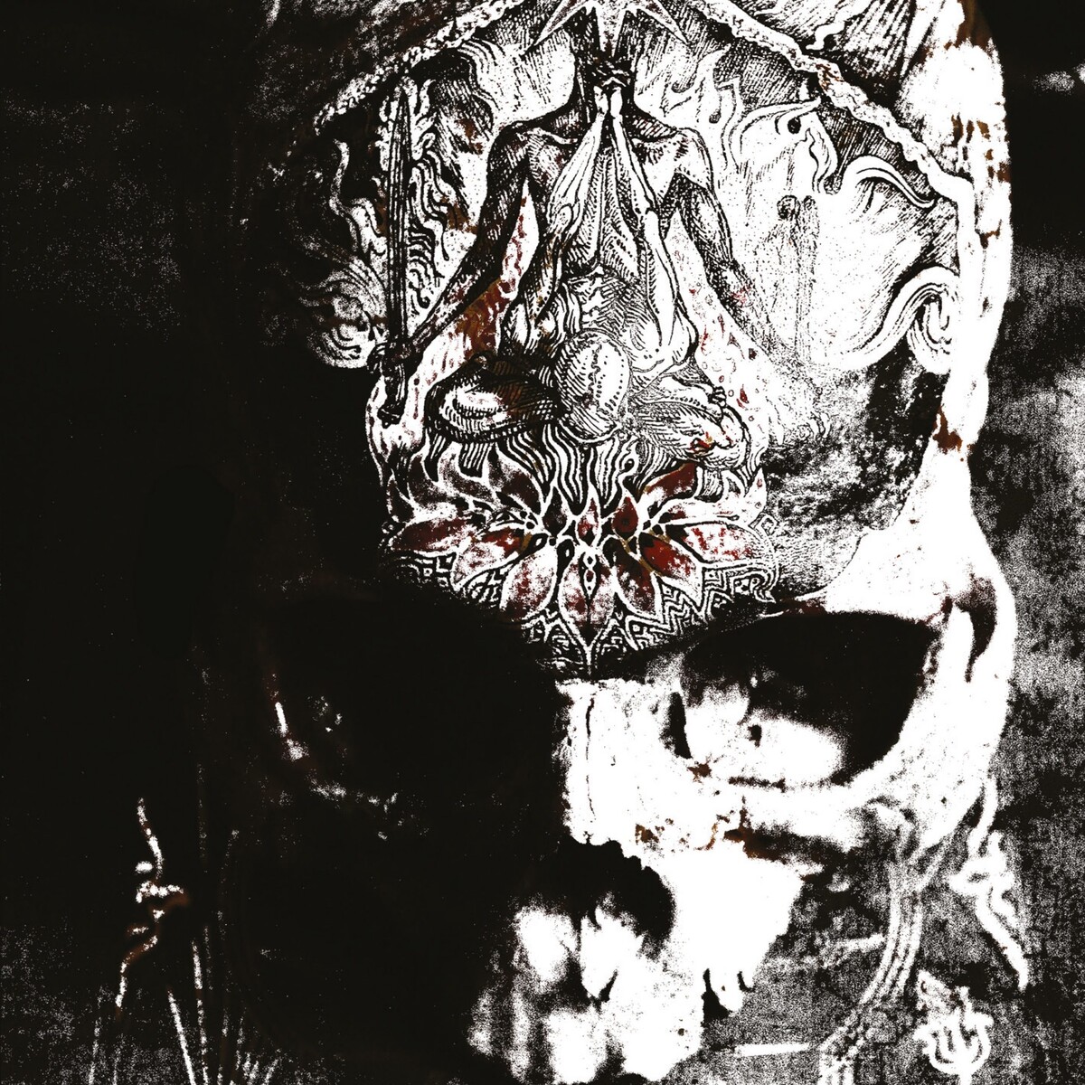 Blight Albums: songs, discography, biography, and listening guide ...