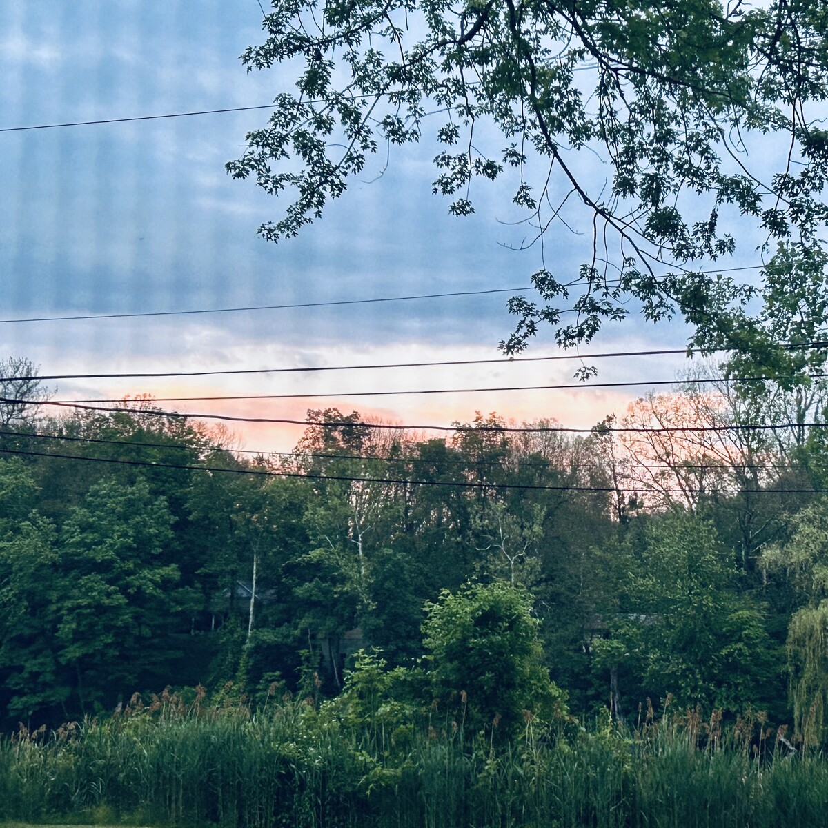 Weathervane by Sinister Resistor (Album): Reviews, Ratings, Credits ...