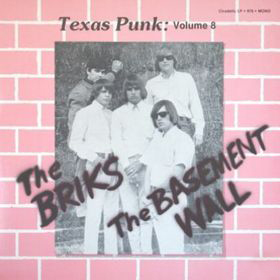 Texas Punk Vol. 8, Featuring The Briks and The Basement Wall by The ...