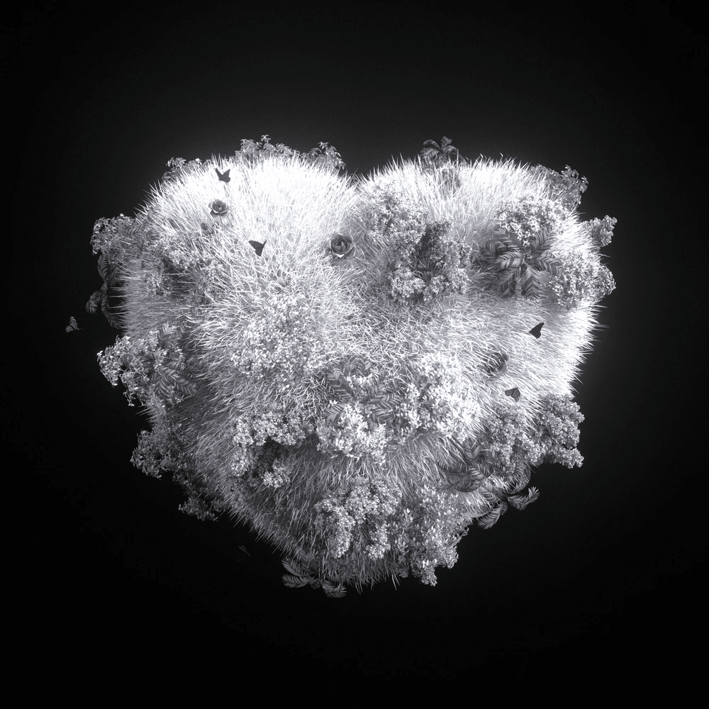 SÉON Albums: songs, discography, biography, and listening guide - Rate ...