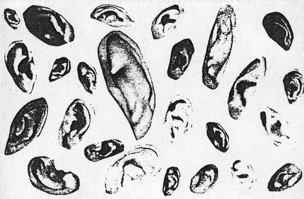 Todd Shuster by Todd Shuster (Album, Psychedelic Pop): Reviews, Ratings ...