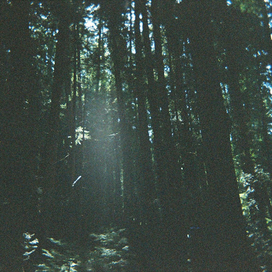 Into the Wild by Cartwright (Single, Singer-Songwriter): Reviews ...