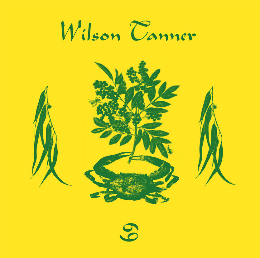 Wilson Tanner Albums: songs, discography, biography, and listening ...