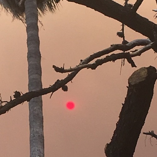 Like Chains by Cold Hart (Single): Reviews, Ratings, Credits, Song list ...