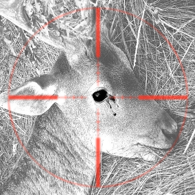 Suffer by P.H.F. (Album, Shitgaze): Reviews, Ratings, Credits, Song ...