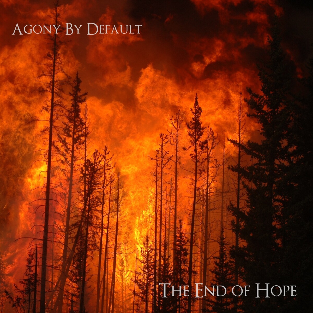 The End of Hope by Agony by Default (EP): Reviews, Ratings, Credits ...