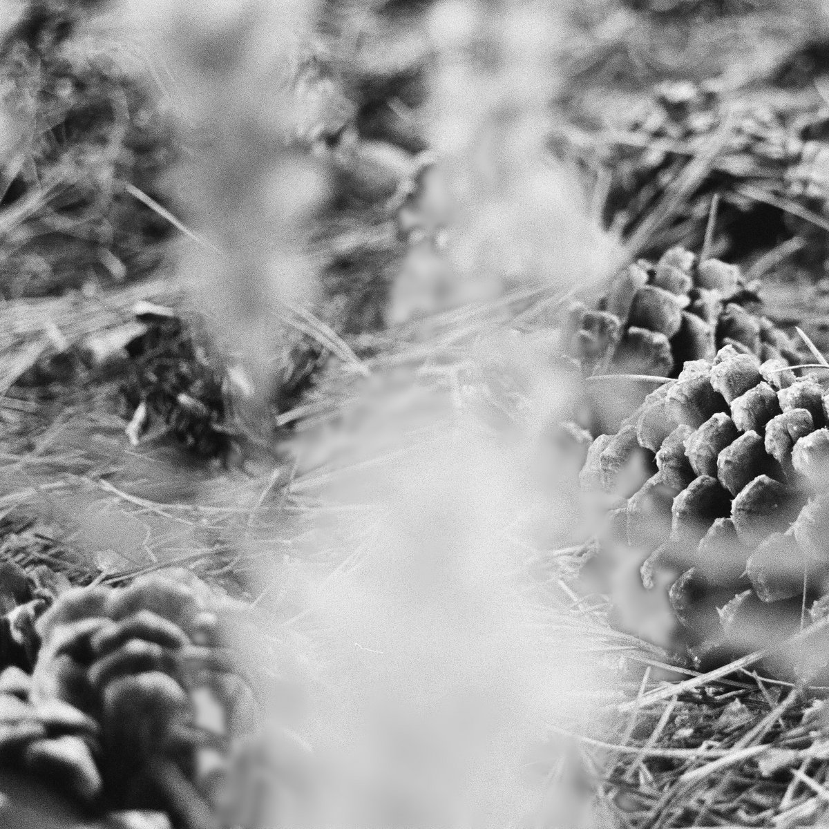 Certain Path by zakè, From Overseas & City of Dawn (Album): Reviews ...